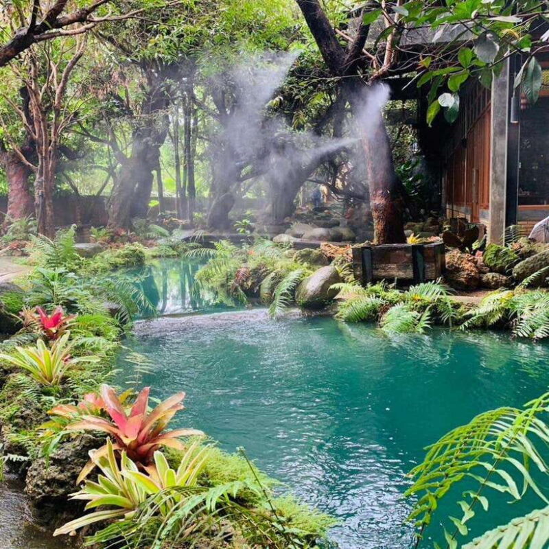 Chiang Mai: Dantewada ,Wat Ban Den Temple & Cafe Elephant - Authentic Experiences That Shine