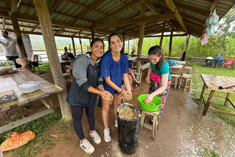 Chiang Mai: Day for Elephant Observation Only Half-day Trip - The Pad Thai Cooking Workshop