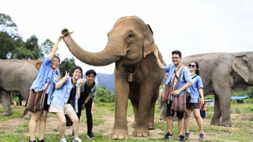 Chiang Mai: Doi Inthanon and Elephant Sanctuary Tour & Hike - Key Points