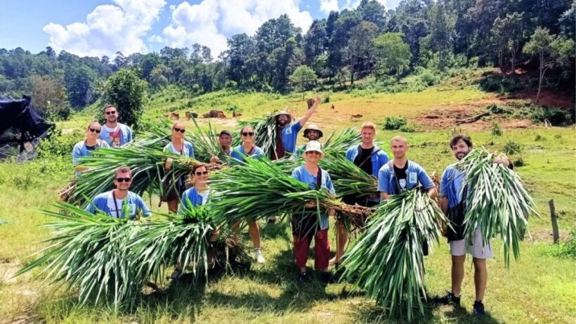 Chiang Mai: Doi Inthanon and Elephant Sanctuary Tour & Hike - The Sum Up