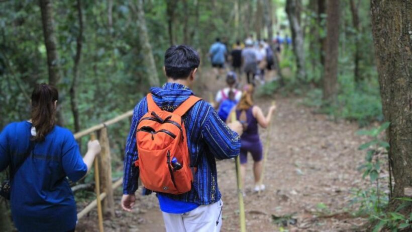 Chiang Mai: Doi Inthanon and Elephant Sanctuary Tour & Hike - FAQs