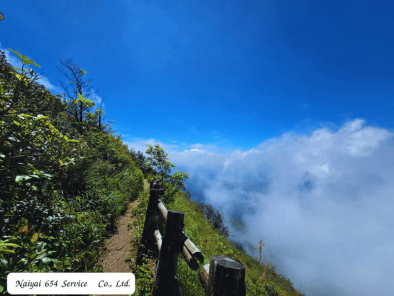 Chiang Mai: Doi Inthanon Day Tour with a Local by Songthaew. - Key Points