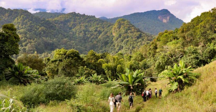 Chiang Mai: Doi Inthanon Highlights Small Group Tour - Key Points