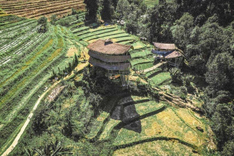 Chiang Mai: Doi Inthanon Highlights Small Group Tour - Frequently Asked Questions