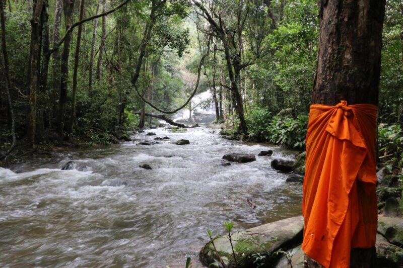 Chiang Mai: Doi Inthanon Highlights Small Group Tour - FAQ – Your Doi Inthanon Questions Answered