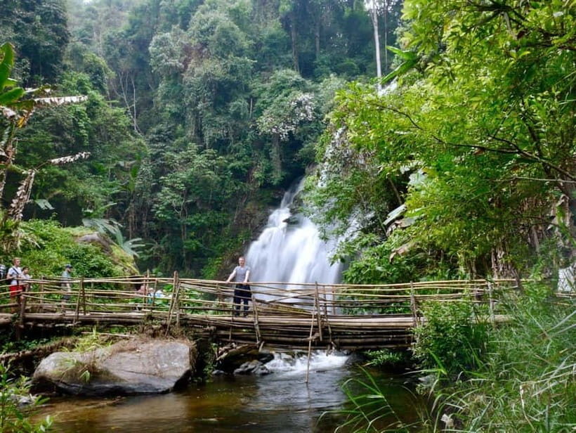 Chiang Mai: Doi Inthanon Hike, Coffee, and Tree Planting - Analyzing the Value