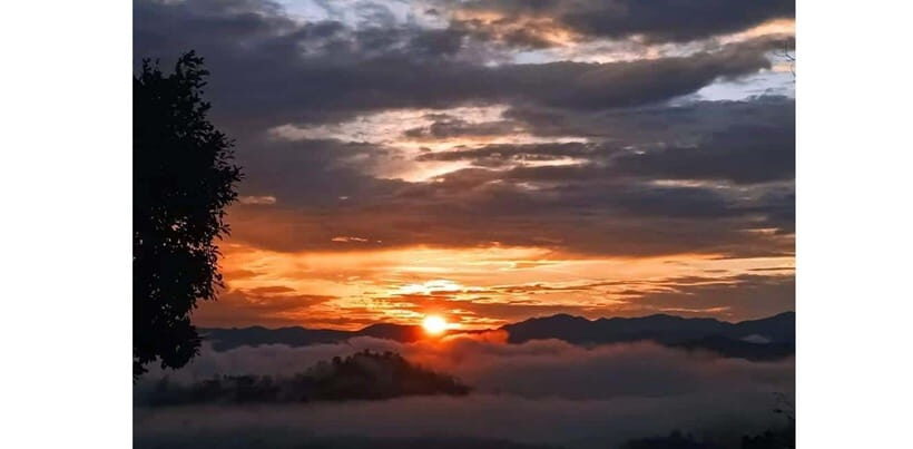 Chiang Mai: Doi Inthanon Hike, Coffee, and Tree Planting - Final Thoughts