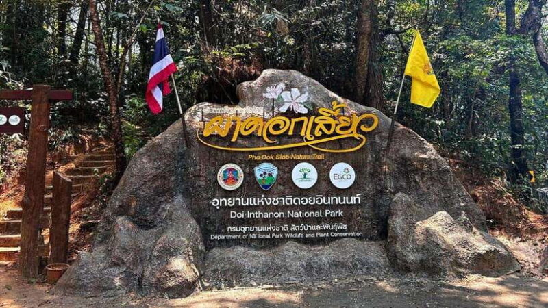 Chiang Mai: Doi Inthanon National Park and Pha Dok Siew Trek - What the Reviews Say: Authentic Feedback