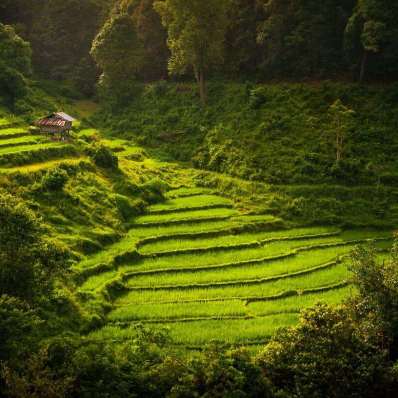 Chiang Mai: Doi Inthanon National Park Day Tour with Lunch - Analyzing the Experience