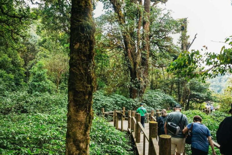 Chiang Mai: Doi Inthanon National Park Eco-Friendly Tour - The Sum Up: Is This Tour Worth It?