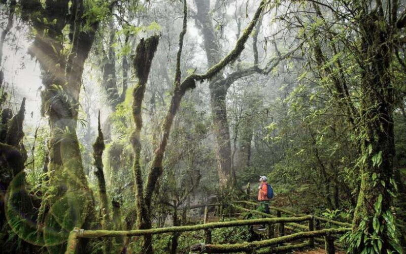 Chiang Mai: Doi Inthanon National Park Sightseeing Only - A Deep Dive Into the Doi Inthanon Experience