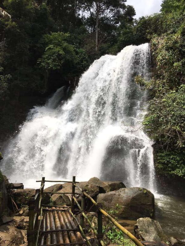 Chiang Mai: Doi Inthanon National Park Tour - Practical Details and Value