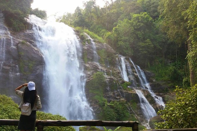 Chiang Mai: Doi Inthanon National Park, Waterfall & Royal Project - Who Would Love This Tour?