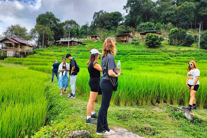 Chiang Mai: Doi Inthanon National Park, Waterfall & Royal Project - FAQ