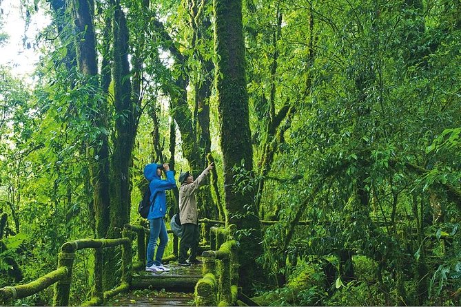 Chiang Mai: Doi Inthanon National Park, Waterfall & Royal Project - Final Thoughts