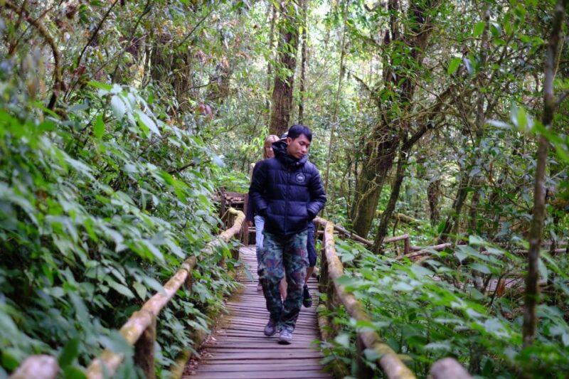 Chiang Mai: Doi Inthanon National Park with Ticket & Lunch - Practical Details and Tips