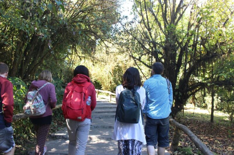 Chiang Mai: Doi Inthanon National Park with Ticket & Lunch - Final Thoughts: Who Should Join?