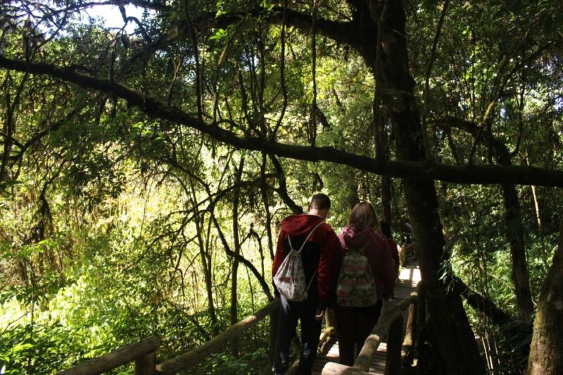 Chiang Mai: Doi Inthanon National Park with Ticket & Lunch - FAQ
