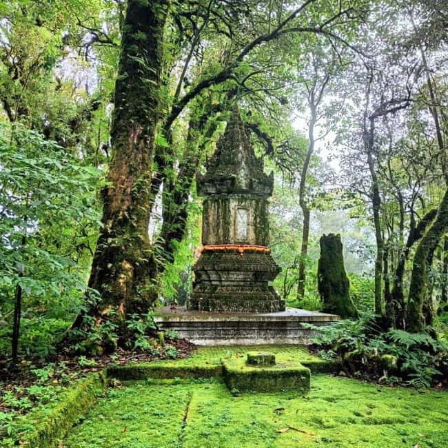 Chiang Mai: Doi Inthanon National Park+Trek Pha Dok Siew - Who Will Love This Tour?