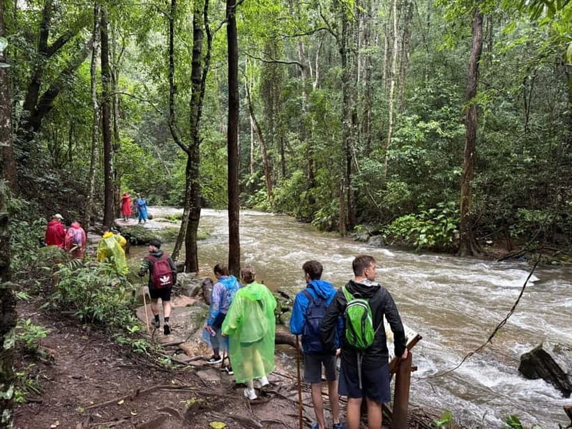 Chiang Mai: Doi Inthanon Park & 2 Hrs Trekking Pha Dok Siew - Exploring Doi Inthanon: A Deeper Look