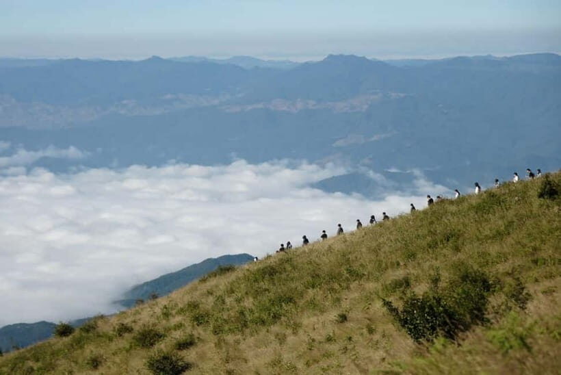 Chiang Mai: Doi Inthanon Park and Kew Mae Pan 2-Hour Hike - What You’ll Experience: A Breakdown of the Day