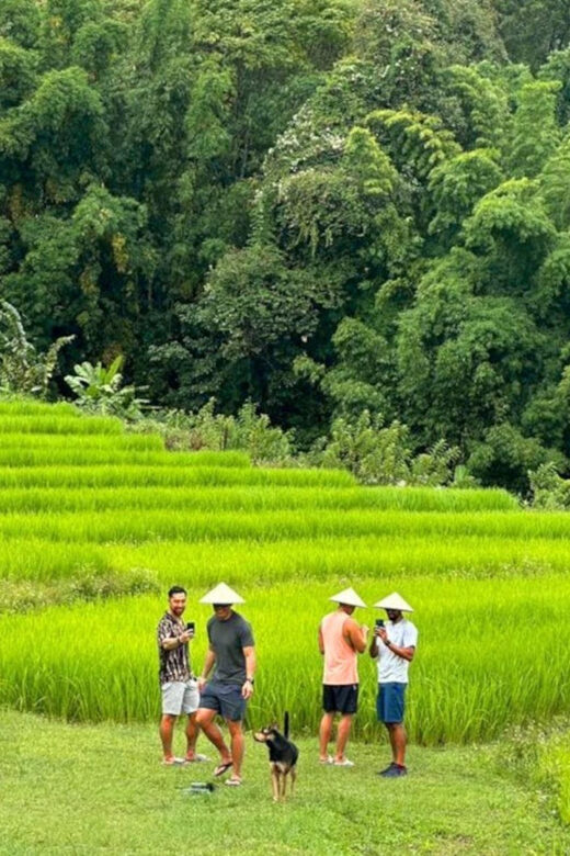 Chiang Mai: Doi Inthanon Park and Pha Dok Siew Trail Trek - An Overview of the Experience