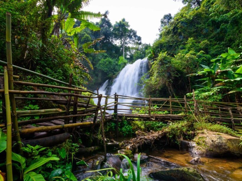 Chiang Mai: Doi Inthanon Park and Pha Dok Siew Trail Trek - Final Thoughts