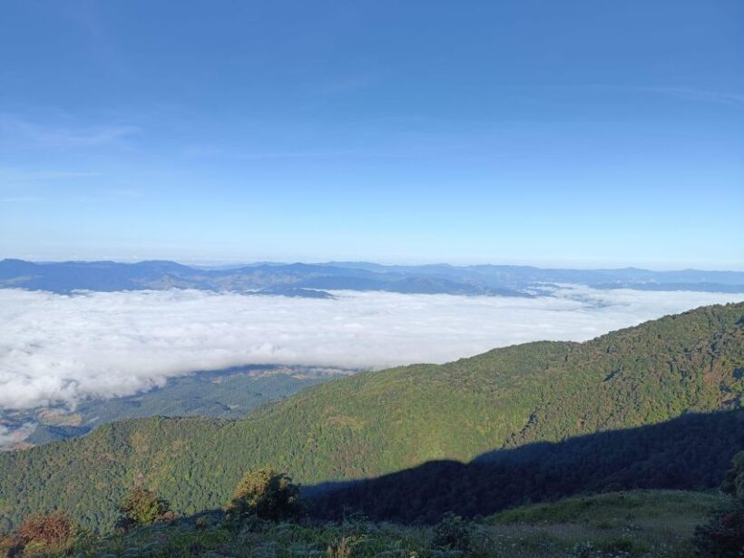Chiang Mai: Doi Inthanon Park Day Trip with Kiw Mae Pan Hike - FAQ