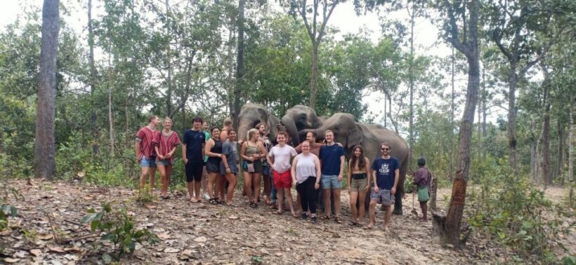 Chiang Mai: Doi Inthanon Park Hiking & Elephants Sanctuary - Key Points