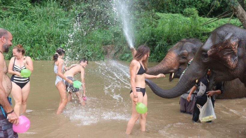 Chiang Mai: Doi Inthanon Park Hiking & Elephants Sanctuary - FAQ