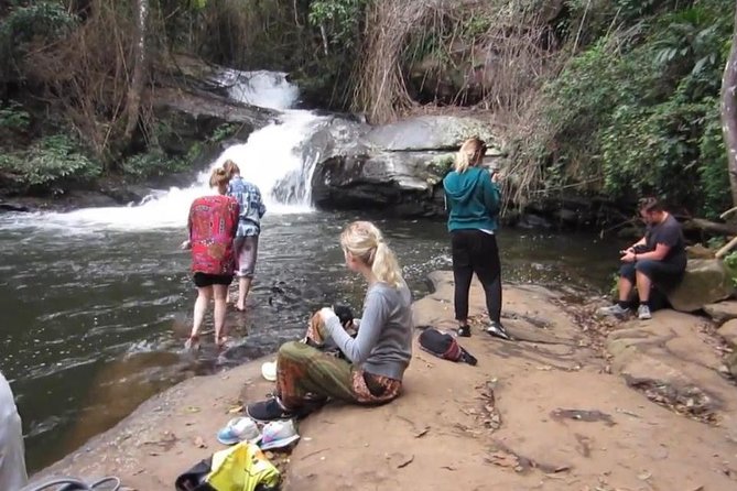 CHIANG MAI: Doi Inthanon-Trekking Pha Dok Seaw-Waterfall-Lunch - The Sum Up: Who Will Love This Tour?