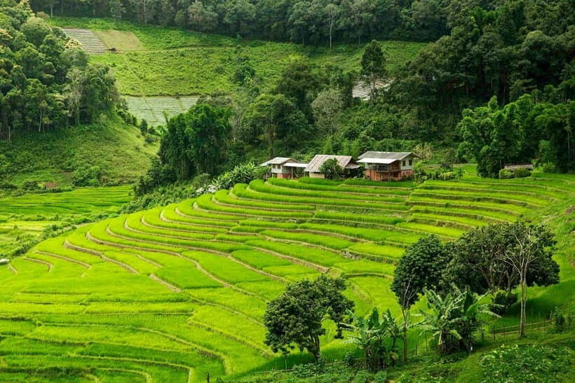 Chiang Mai: Doi Inthanon Trip with Pha Dok Siew Guided Trek - An In-Depth Look at the Doi Inthanon Experience