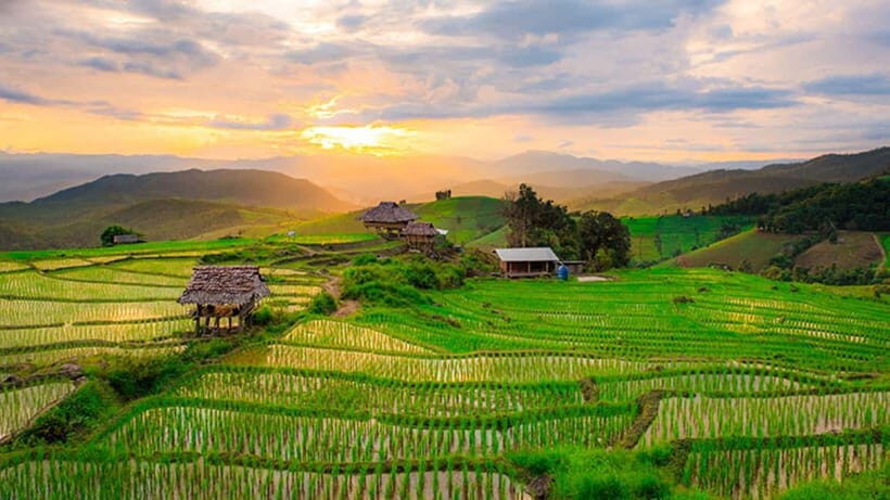 Chiang Mai: Doi Inthanon Trip with Pha Dok Siew Guided Trek - Practical Tips for Travelers