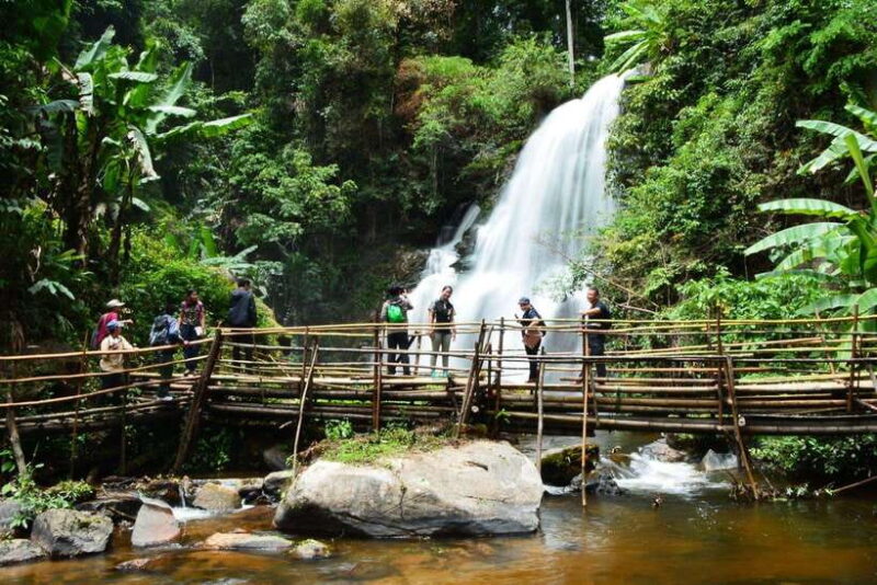 Chiang Mai: Doi Inthanon Trip with Pha Dok Siew Guided Trek - The Experience: What Travelers Say