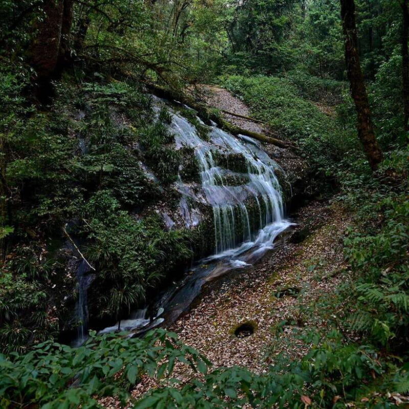 Chiang Mai: Doi Inthanon Trip with Pha Dok Siew Guided Trek - Who’s This Tour Best For?