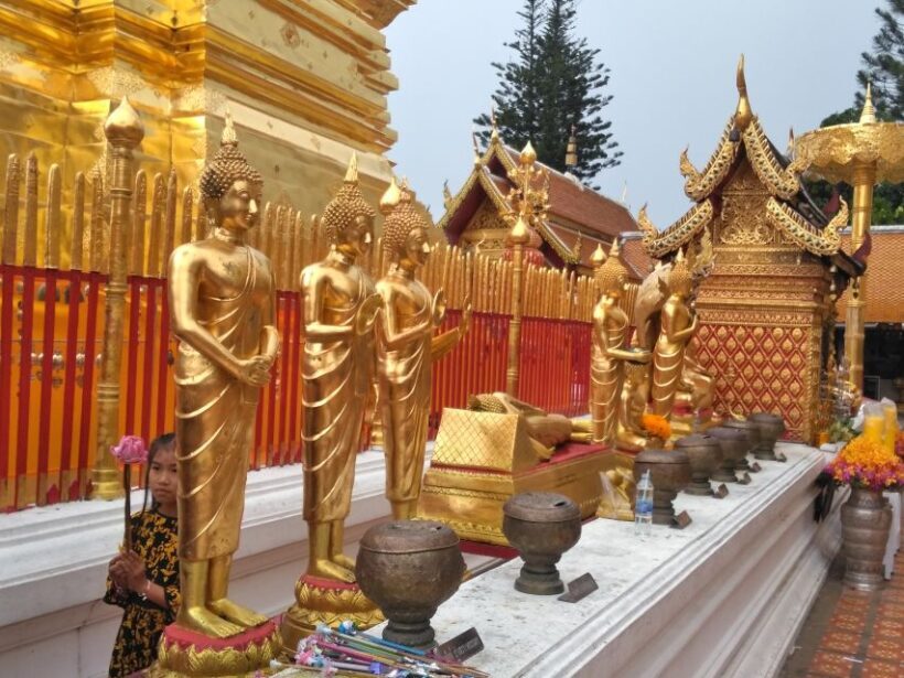 Chiang Mai: Doi Suthep National Park Leisure Hiking & Biking - The Sum Up: Who Will Love This Tour?