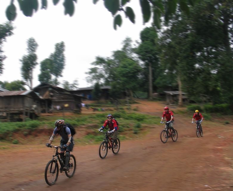 Chiang Mai: Doi Suthep National Park Leisure Hiking & Biking - Final Thoughts