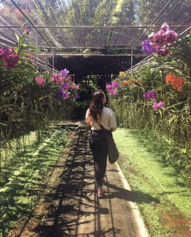 Chiang Mai: Doi Suthep, Orchid Farm and Waterfall with Lunch - Final Thoughts: Is This Tour Worth It?