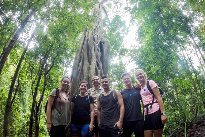 Chiang Mai: Doi Suthep Summit Trek  7 Hour Pure Hiking Adventure - Exploring the Doi Suthep Summit Trek: A Practical Review