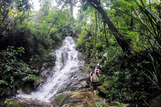 Chiang Mai: Doi Suthep Summit Trek  7 Hour Pure Hiking Adventure - The Practical Aspects