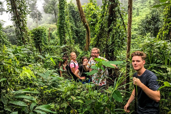 Chiang Mai: Doi Suthep Summit Trek  7 Hour Pure Hiking Adventure - Summary: Is It Right for You?