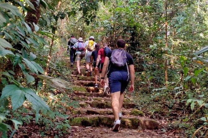Chiang Mai: Doi Suthep Summit Trek  7 Hour Pure Hiking Adventure - Frequently Asked Questions