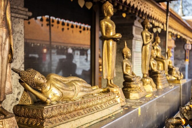 Chiang Mai - Doi Suthep Temple & Wat Pha Lat Hike - Overall Value