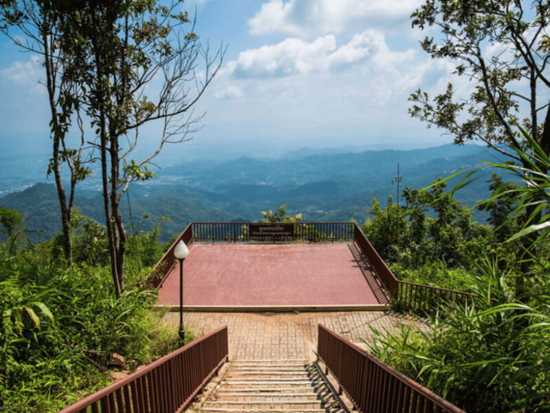 Chiang Mai: Doi Tung, Doi Mae, Salong Day Trip with Driver - Key Points