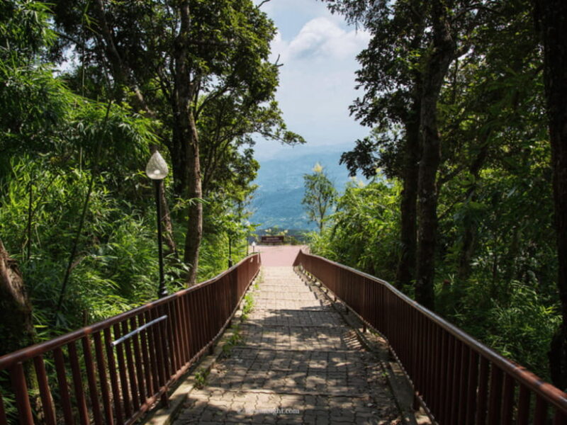 Chiang Mai: Doi Tung, Doi Mae, Salong Day Trip with Driver - What Makes This Tour Stand Out