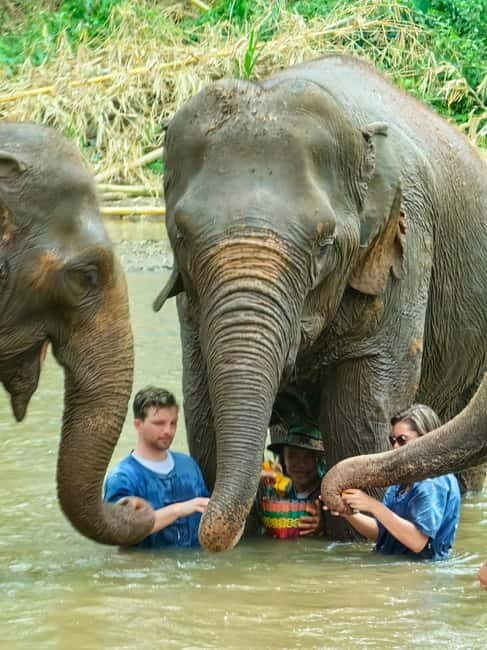 Chiang Mai : Elephant Care & Long necked village - Key Points