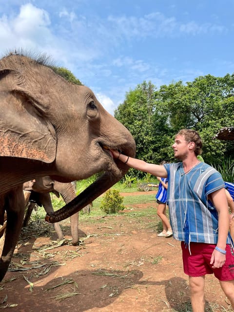 Chiang Mai: Elephant Dream Project Sanctuary - Half-Day - Why This Tour Is Worth Your Time
