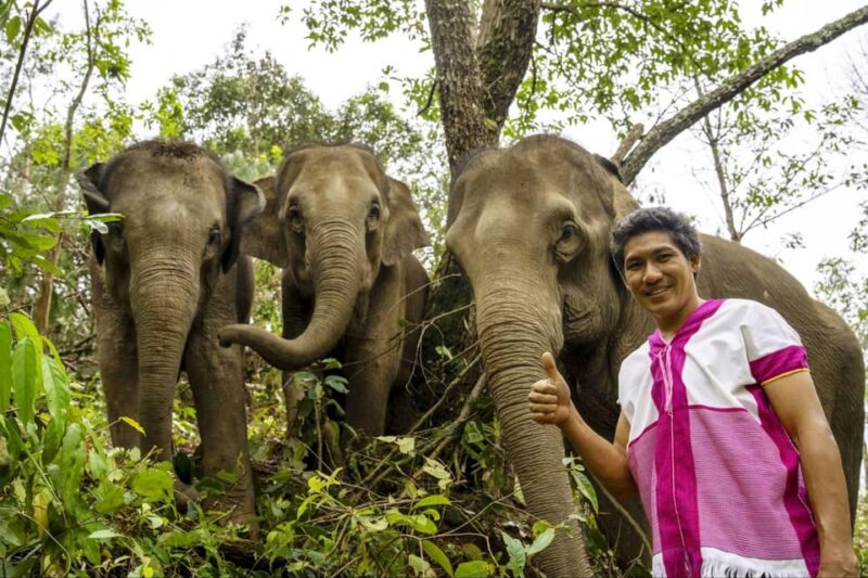 Chiang Mai: Elephant Dream Project Sanctuary - Half-Day - Authentic and Ethical Experience