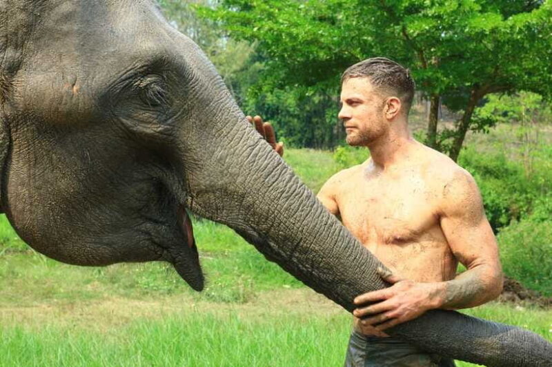 Chiang Mai: Elephant Feeding Experience - Who Will Love This Tour?