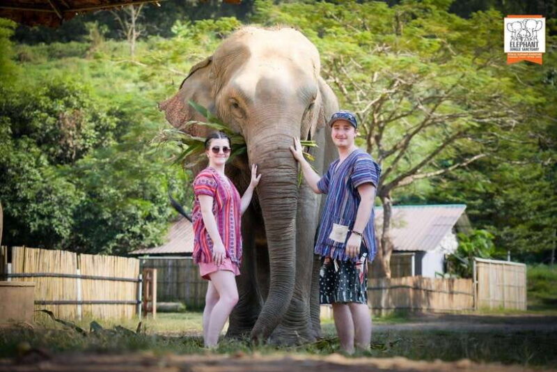 Chiang Mai Elephant Jungle Sanctuary &Mama Noi Cooking Class - The Itinerary in Detail
